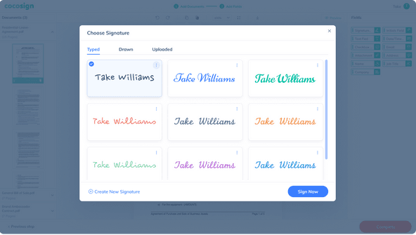 1. Click eSign Document Now